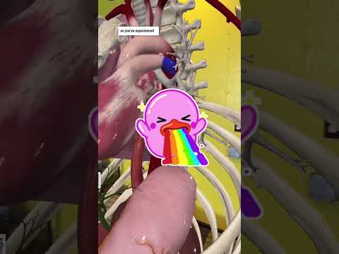 Mastering Swallowing: 22 Muscles in Harmony #swallowing #dysphagia