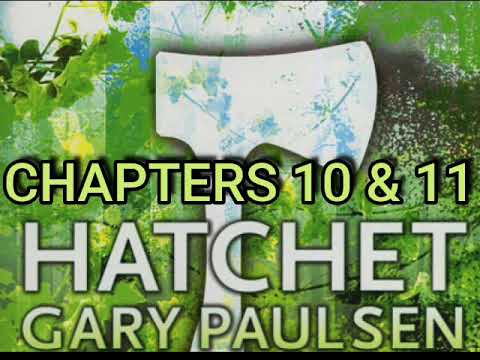 Hatchet chapters 10 and 11
