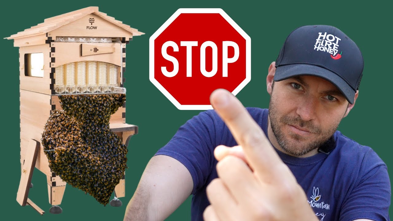 How to Stop Bees Swarming in Flow Hives - Simple Steps for Strong Healthy Colonies