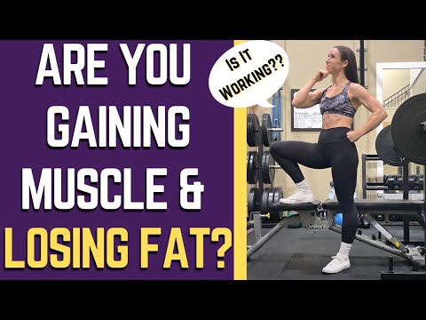 Is Your BODY RECOMPOSITION WORKING? How To Understand Progress