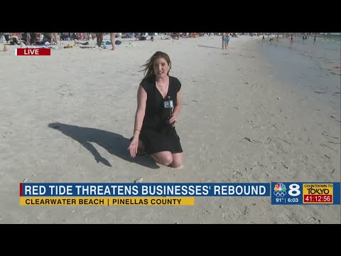 Red tide alert: Bloom could impact weekend beach plans in Pinellas County