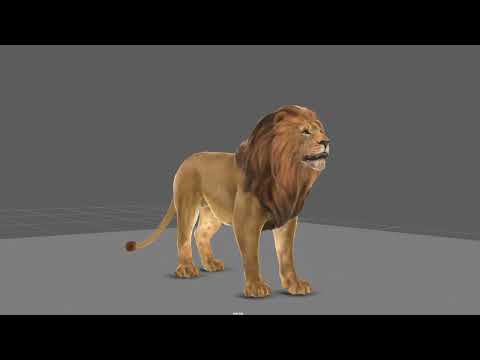 Lion – Maggie Peek Animation