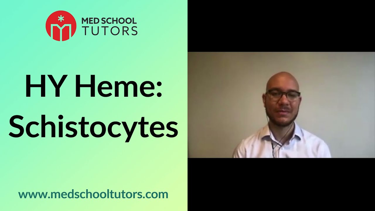 Schistocytes & High Yield Associations — Hematology for the USMLE & COMLEX