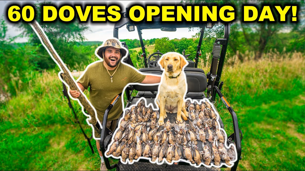 PUBLIC LAND Dove Hunting on OPENING DAY!!! (Catch Clean Cook)