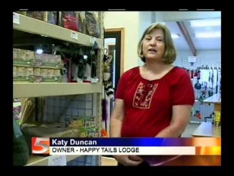 Dog Boarding Great Falls, MT | Happy Tails Lodge | Dog Day Care Montana