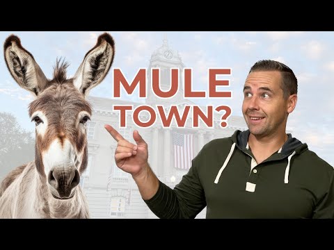 Moving To Columbia TN 2023 | Get Excited! Here Are My Top Reasons.