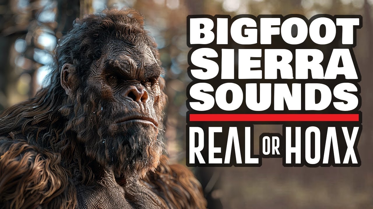 Sasquatch Sierra Sounds: Voice of Bigfoot or Hoax?! Terrifying Screams in the Woods Explained