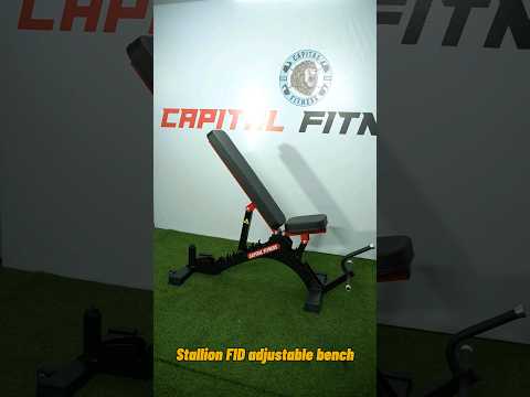 Stallion fid adjustable bench | gym bench by @capitalfitness5566 #gymequipment