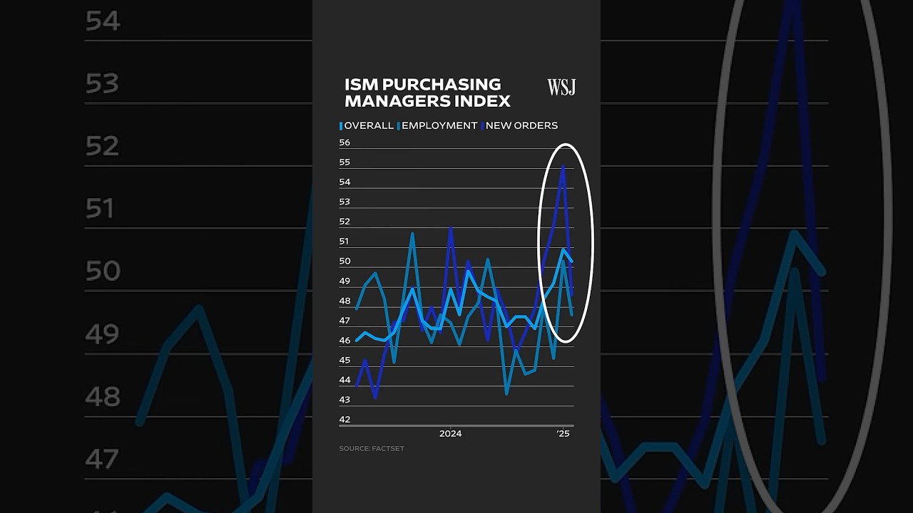 Trump Tariff Concerns Paralyze Businesses, Raising Uncertainty | WSJ News