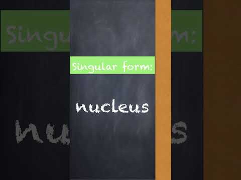 Some Words Have Their Own Plurals - Latin Plurals Quiz