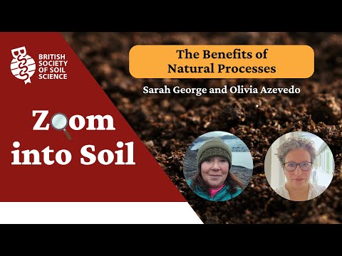 Zoom into Soil: The Benefits of Natural Processes