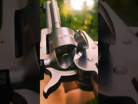 Revolver Ruger Single Ten .22 LR #acehgunfishing