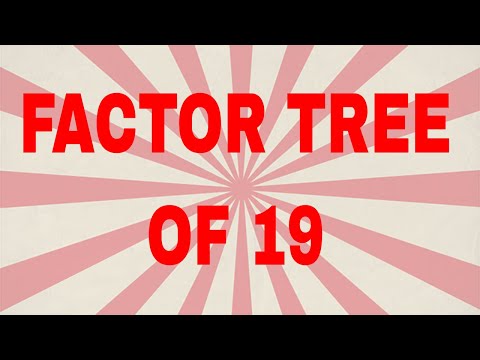 Factor tree of 19|Prime factor tree