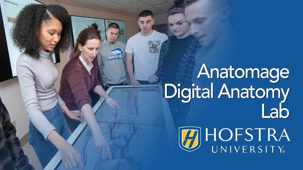 Digital Anatomy & Physiology Lab - Hofstra University