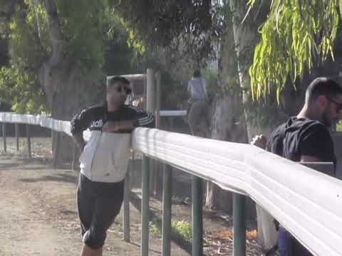 HORSES TRAINING NICOSIA RACE CLUB #HORSERACING #CYPRUS2022 ТРЕНИРОВКИ ЛОШАДЕЙ ИППОДРОМ КИПР