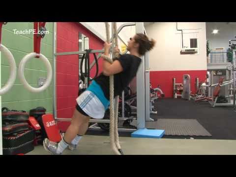 Rope Inverted Row | myworkouts.io