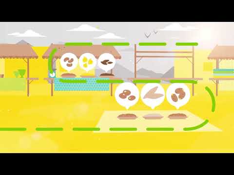 The HDP-Nexus – ISSD Africa