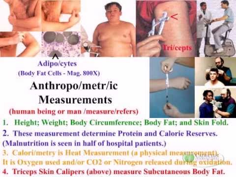 Anthropometric Measurements