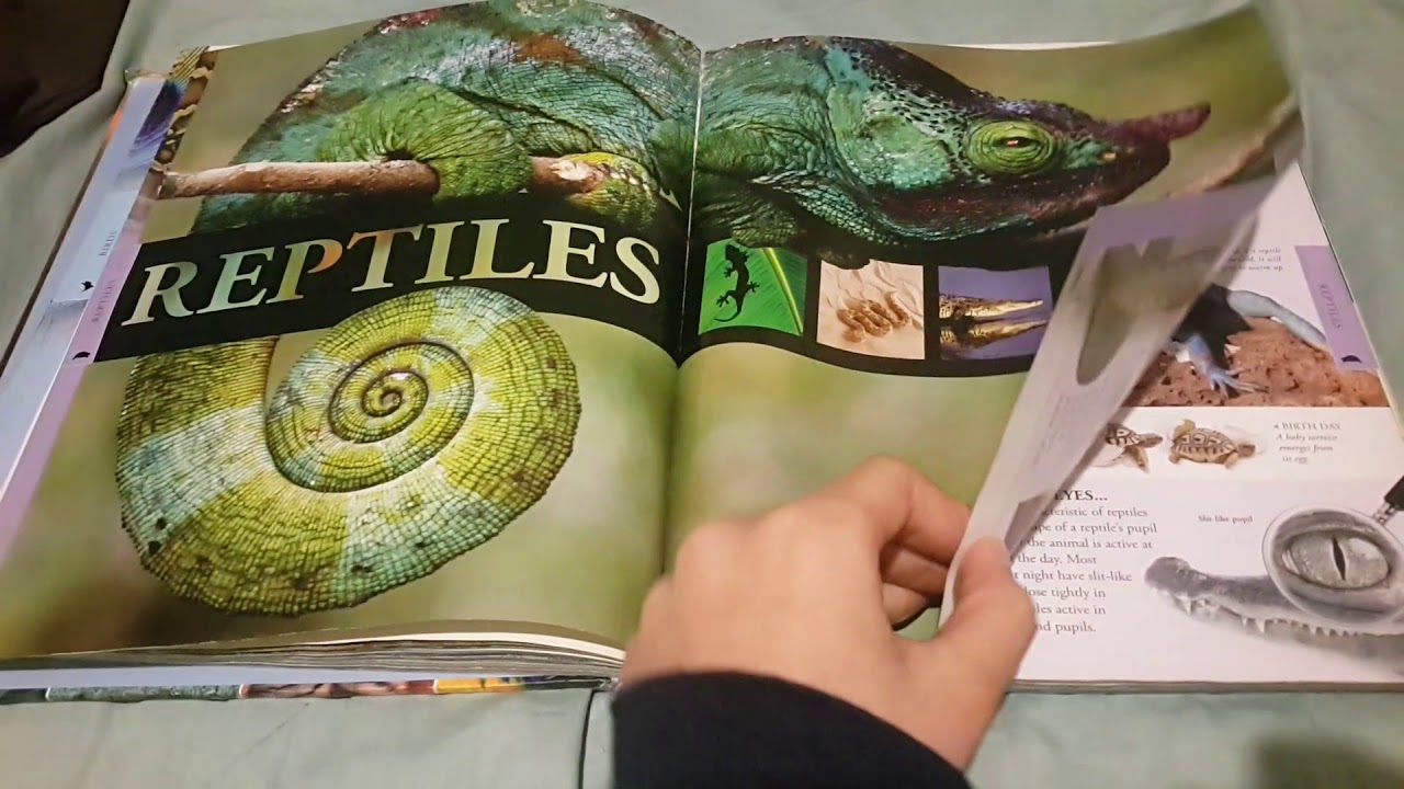 animals a children's encyclopedia