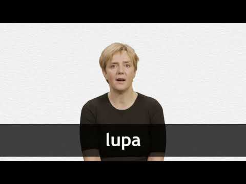 English Translation of “LUPA” | Collins Spanish-English Dictionary