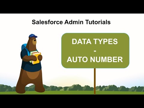 Salesforce Data Types | Auto Number Data types | Salesforce Admin Tutorial