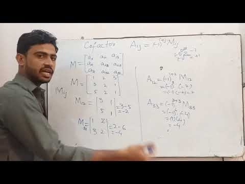 Minor and Cofactors of any Matrix | Urdu/Hindi