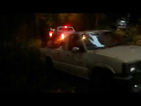 videos of attack on blockade | Cascadia Forest Defenders