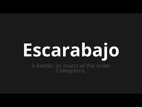 How to pronounce Escarabajo