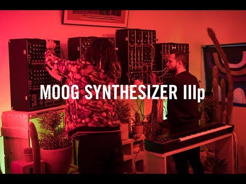 Moog Moog 3P IIIP Modular + Comp. B Sequencer + 953 Duophonic | Reverb