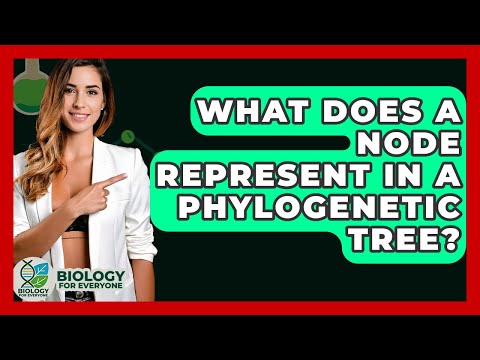 What Does A Node Represent In A Phylogenetic Tree? - Biology For Everyone