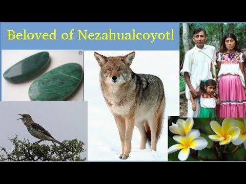 Nezahualcoyotl English