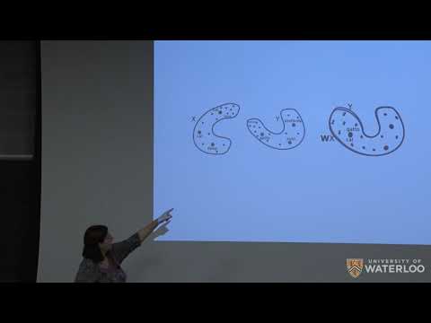 CS480/680 Lecture 6: Unsupervised word translation (Kira Selby)