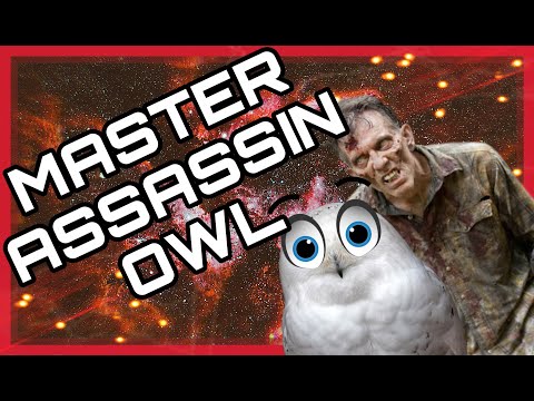 Steam Community :: Video :: Undead Assassin Fights the Horde