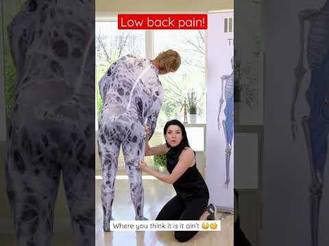 The mystery of low back pain 🧐🤔 Free 45min Virtual Consult https://sterlingstructuraltherapy.com/