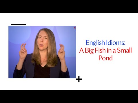 English idioms: A Big Fish in a Small Pond