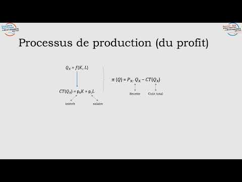 L'économie standard #3 - Les choix du producteur