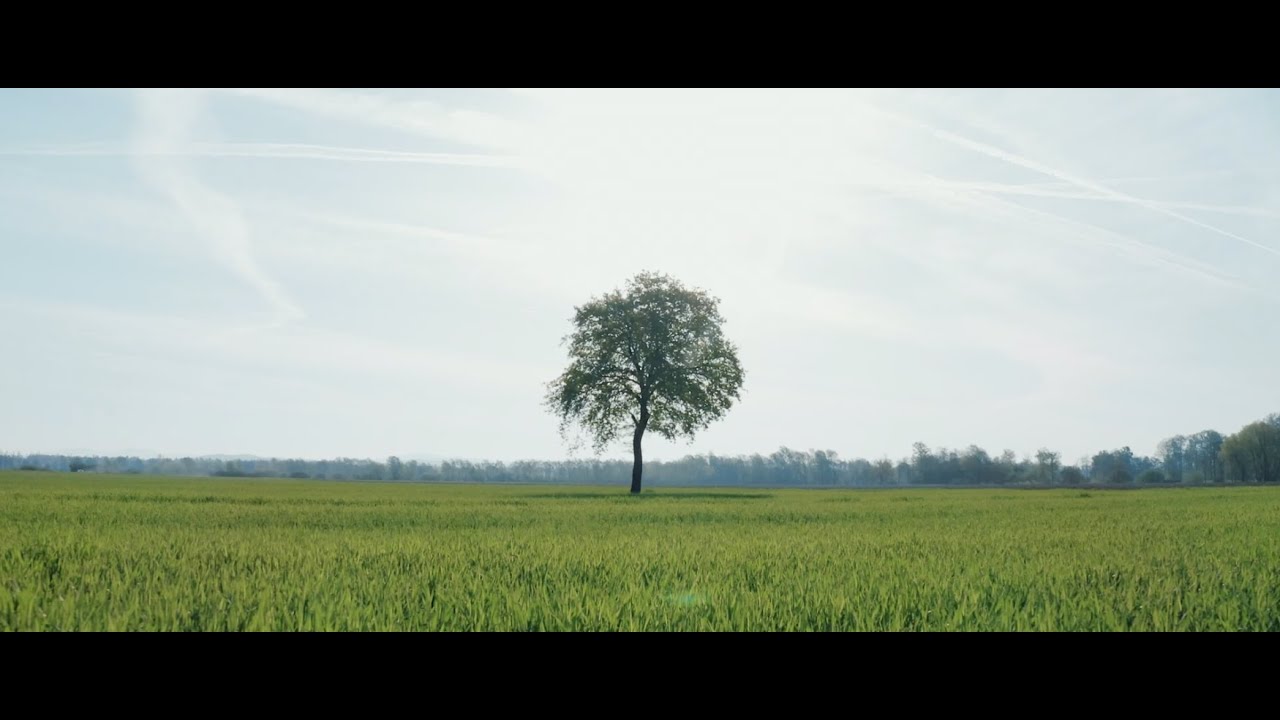Tencent Towards Carbon Neutral 2030