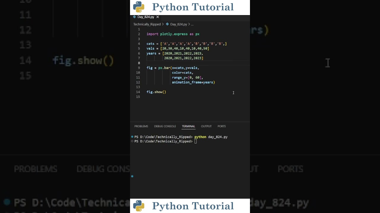 How to Animate Charts with Plotly Express | Python Tutorial