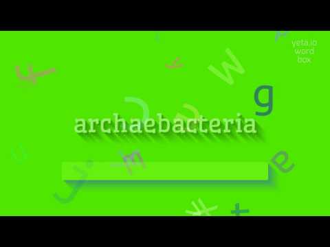 ARCHAEBACTERIA - HOW TO PRONOUNCE ARCHAEBACTERIA? #archaebacteria