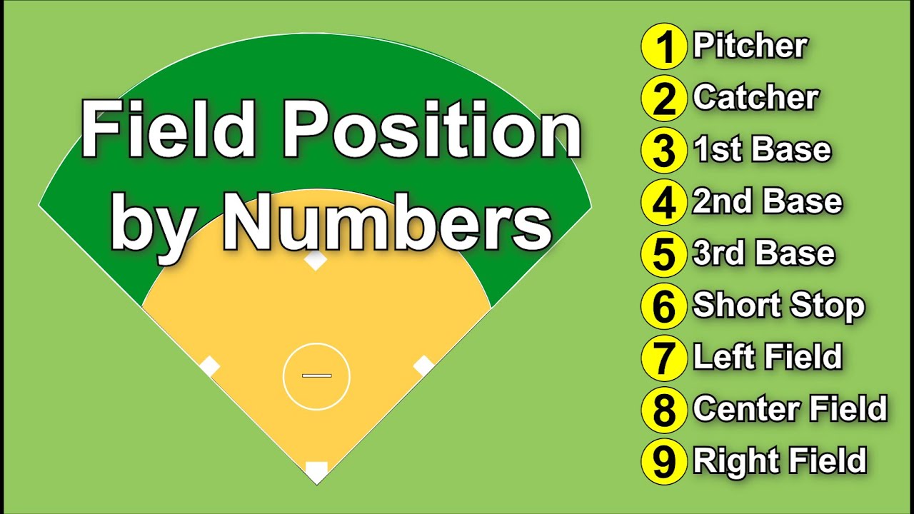 Softball Field Positions