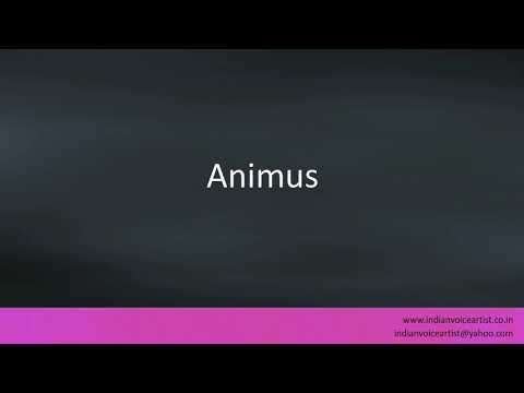 Pronunciation of the word(s) "Animus".