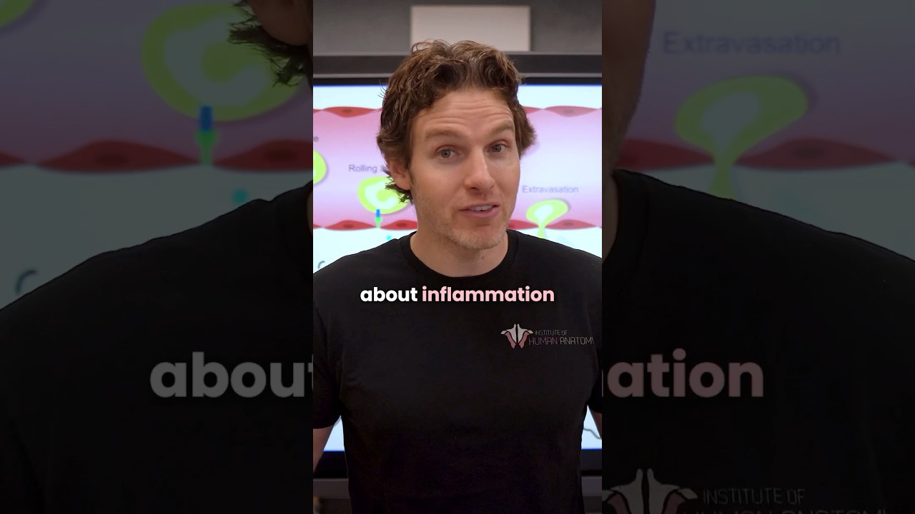 Why Inflammation is so Important