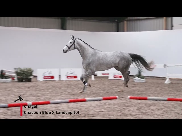 Horse Sales. Auction | Chagall