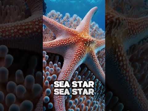 ANIMALS WITHOUT BONES THAT YOU NEED TO SEE #shorts #youtube #youtubeshorts #shortseua
