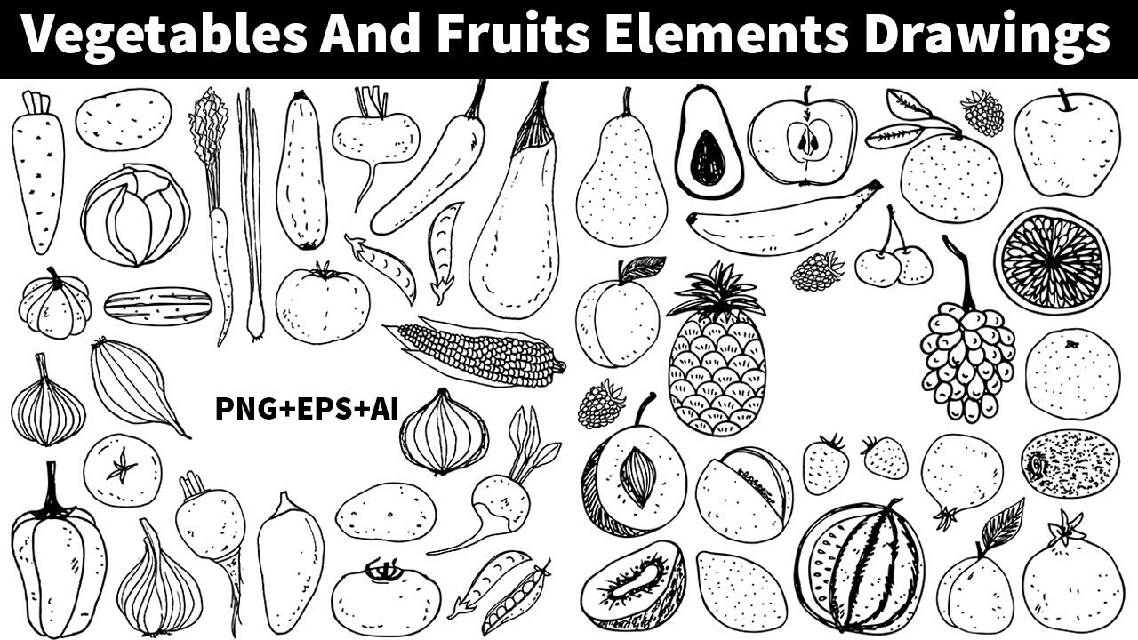 Vegetables And Fruits Elements Drawings Download In PNG EPS AI Files | English| |Photoshop Tutorial|