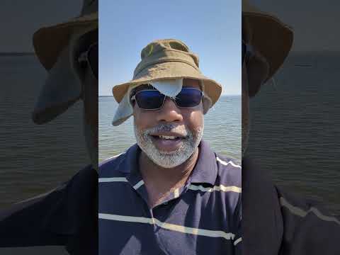 A Saturday Morning Fishing Expedition: Biology, Ecology and Astronomy