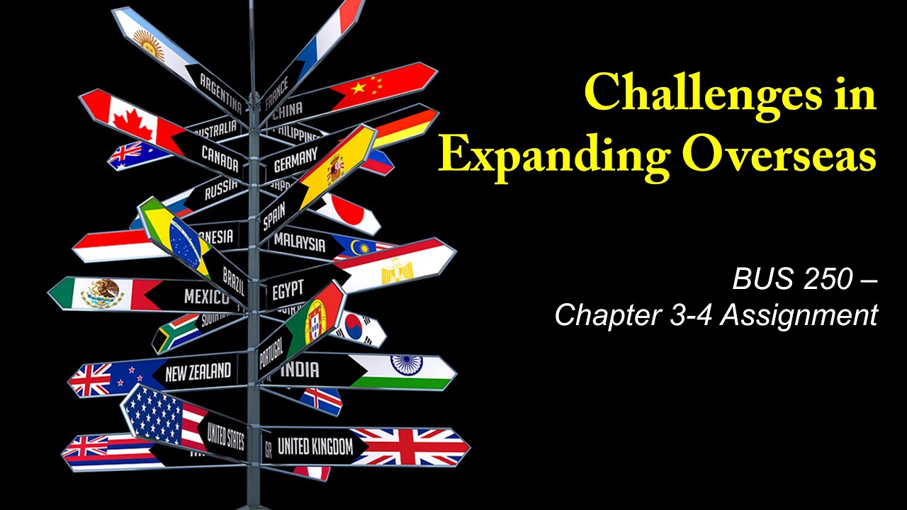BUS 250 -  Chapter 3-4 Assignment Instructions