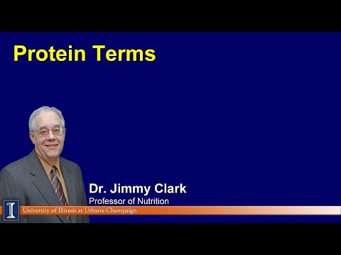 Protein Terms