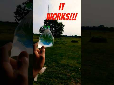 No more flies!🪰🤠 #flytrap #repellent #bugs #summer #patio #farmer #tipsandtricks #homesteading #farm
