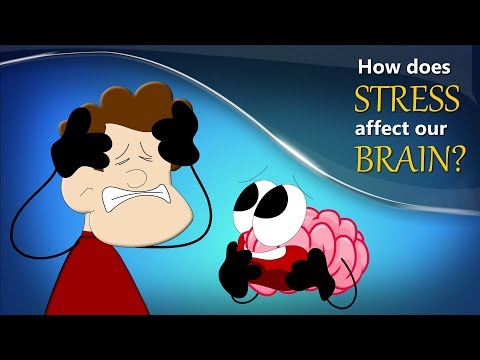 How does Stress affect our Brain? + more videos | #aumsum #kids #science #education #children